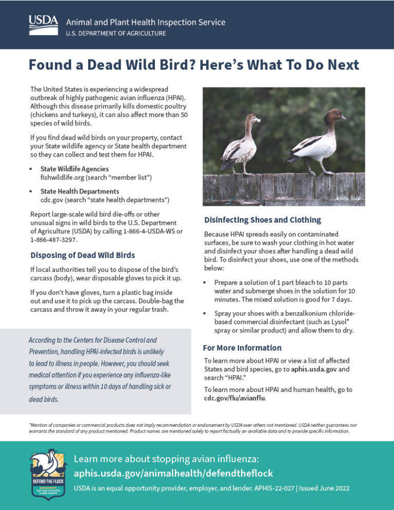 Non Emergency Medical Transportation Program (NEMT) - Charles County ...